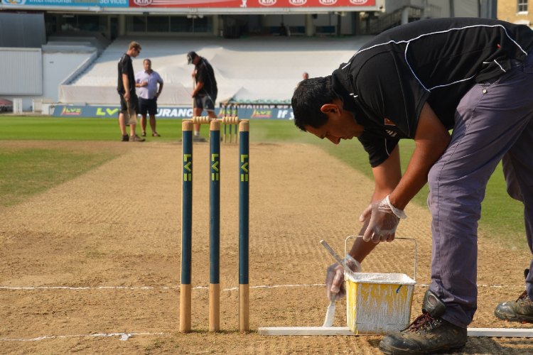 Best Cricket Analysis Apps & Sites for Better Insights (2025)