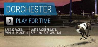 The Ultimate Virtual Cricket Betting Guide | Top Sites & Tips (2022)